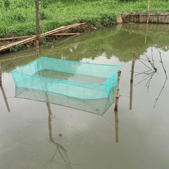 Jual jaring kolam keramba apung 2x1 tinggi 70cm | Shopee Indonesia