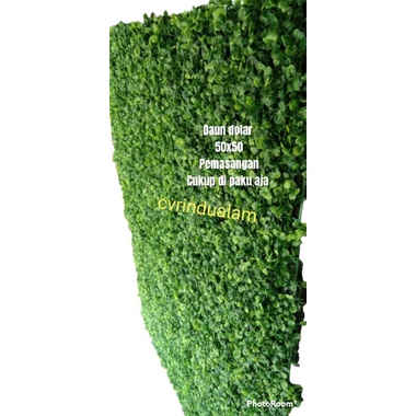 Jual DAUN DOLAR RUMPUT PELASTIK RAMBAT TAMAN VERTICIAL TEMBOK | Shopee ...