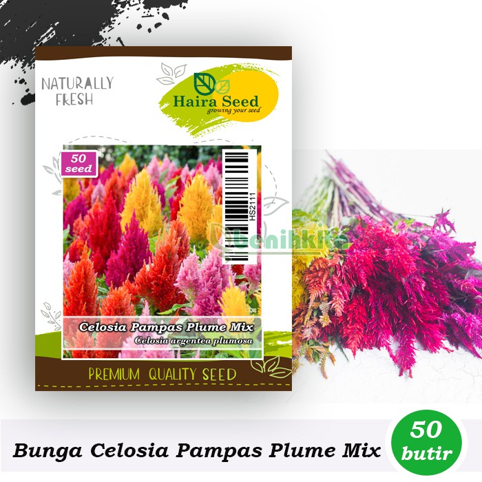 Jual Benih Bibit Bunga Celosia Pampas Plume Mix Haira Seed Shopee