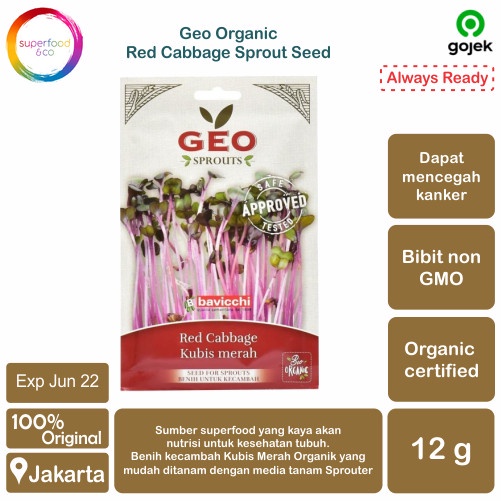 Jual Geo - Organic Red Cabbage Sprout Seed - 12 g | Shopee Indonesia