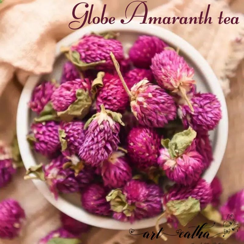 Jual GLOBE AMARANTH TEA/ Teh bunga globe amaranth/ Bunga Kenop | Shopee ...