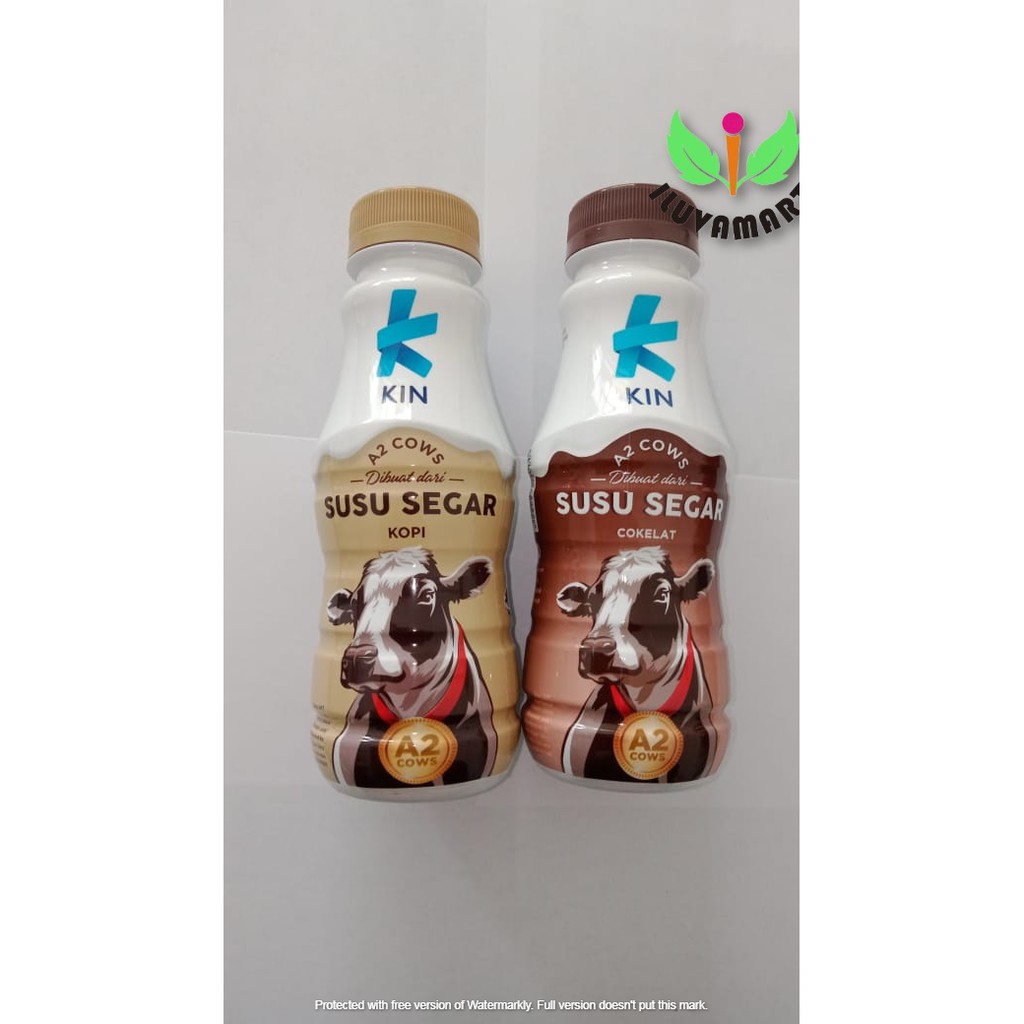 Jual Kin A2 Cows Fresh Milk 200ml Susu Rasa Coklat / Kopi Botol ...