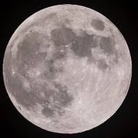 Jual acetosal Harga Terbaik & Termurah Januari 2025 | Shopee Indonesia