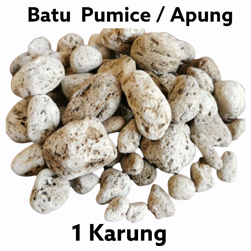 Jual BATU APUNG PUMICE PUMIS MEDIA FILTER KOLAM KARUNGAN 6-7 KG KHUSUS ...