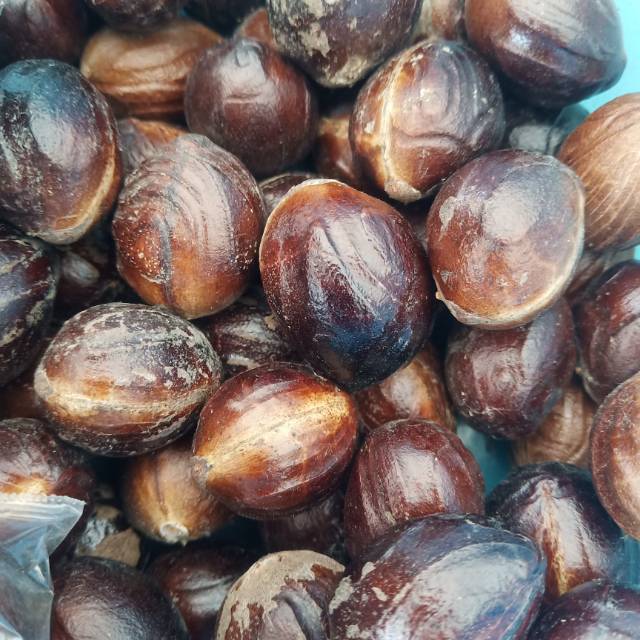 Jual Buah Pala / NutMeg 100 gram | Shopee Indonesia
