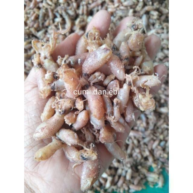 Jual Baby cumi ukuran 1-3cm | Shopee Indonesia