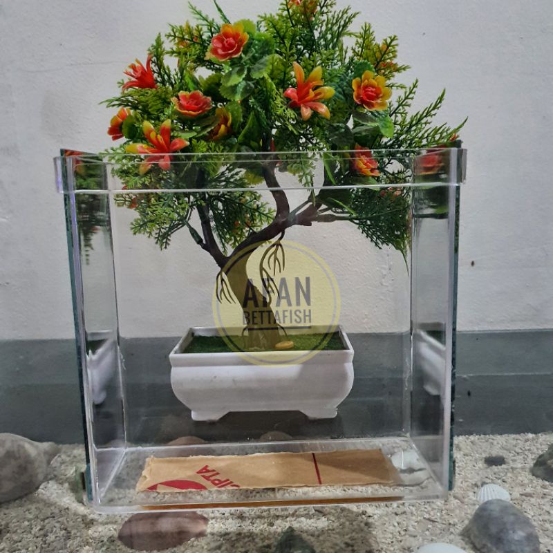 Jual Soliter Akrilik Selfi + Cermin Ikan Cupang ukuran 15x6.5x15 ...