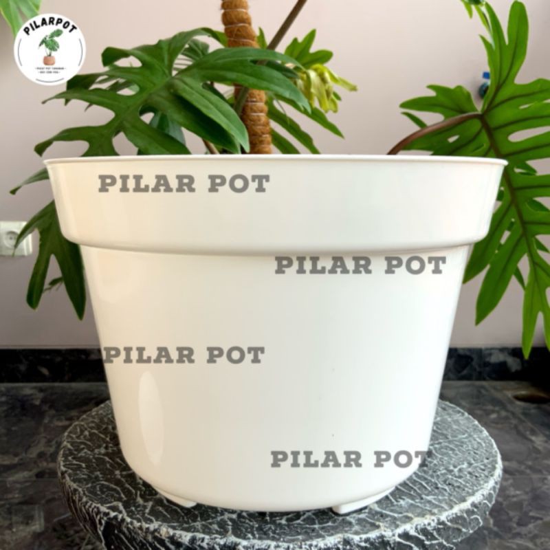 Jual Pot bunga tanaman nkt putih polos 30 - NKT POLOS 30 | Shopee Indonesia