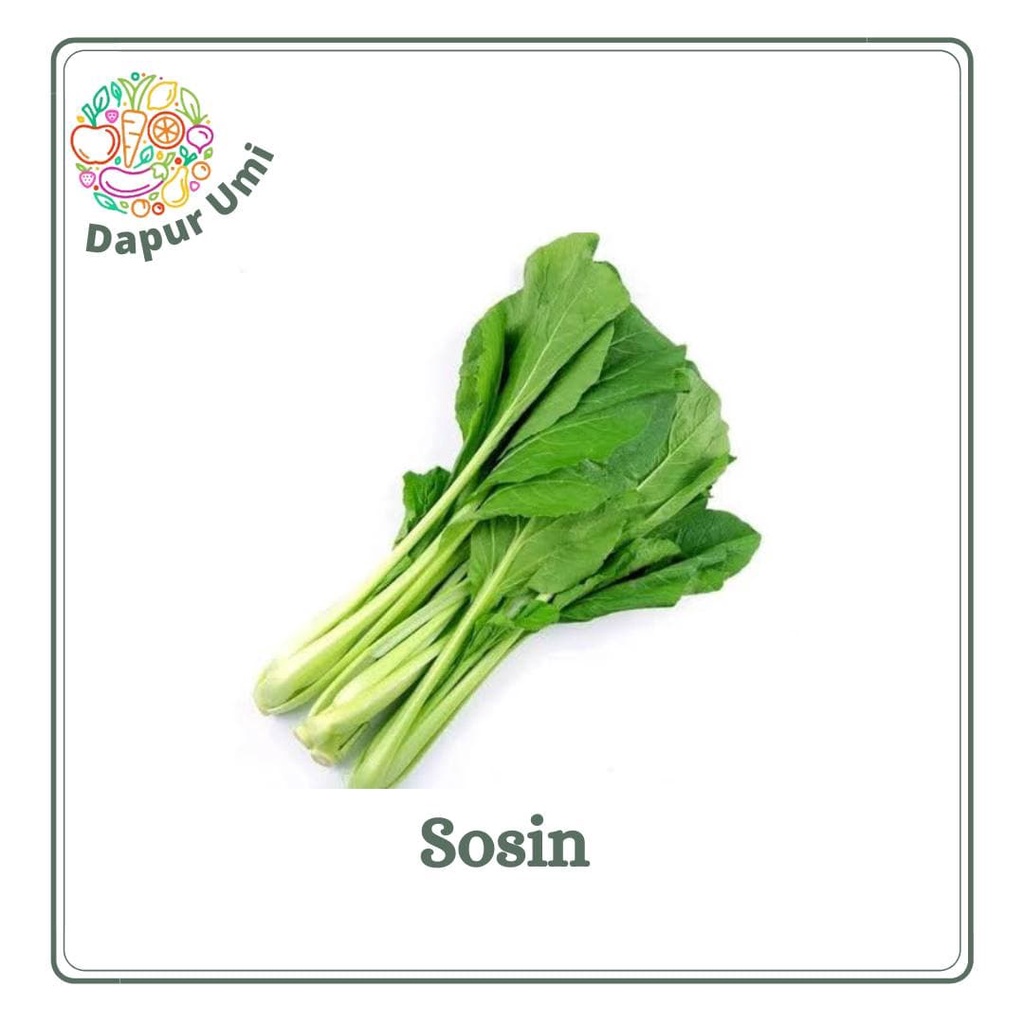 Jual SOSIN / SAWI HIJAU - SAYUR SAYURAN SEGAR PURWAKARTA | Shopee Indonesia
