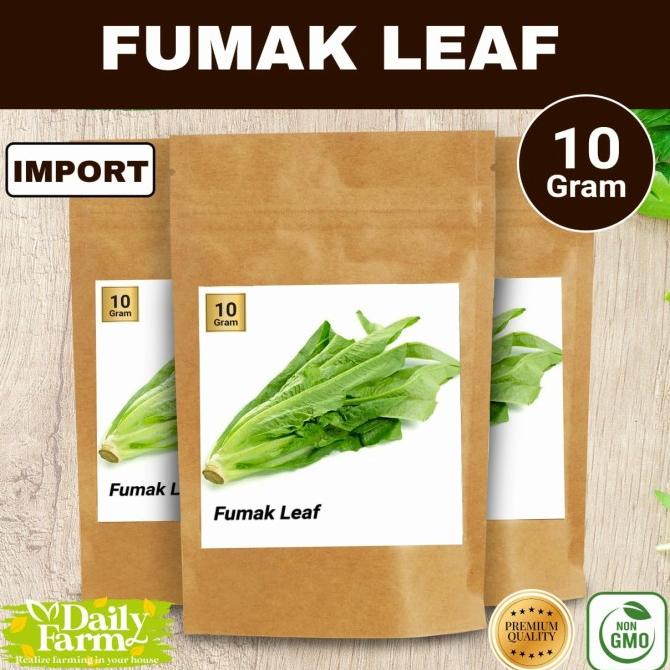 Jual Benih Sayur Fumak Leaf - Selada Wangi Import ( 10 Grm ) | Shopee ...