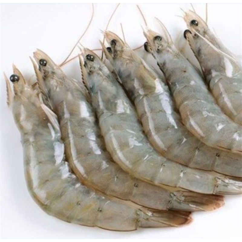 Jual Udang Vaname 500Gram isi 30-40 | Shopee Indonesia