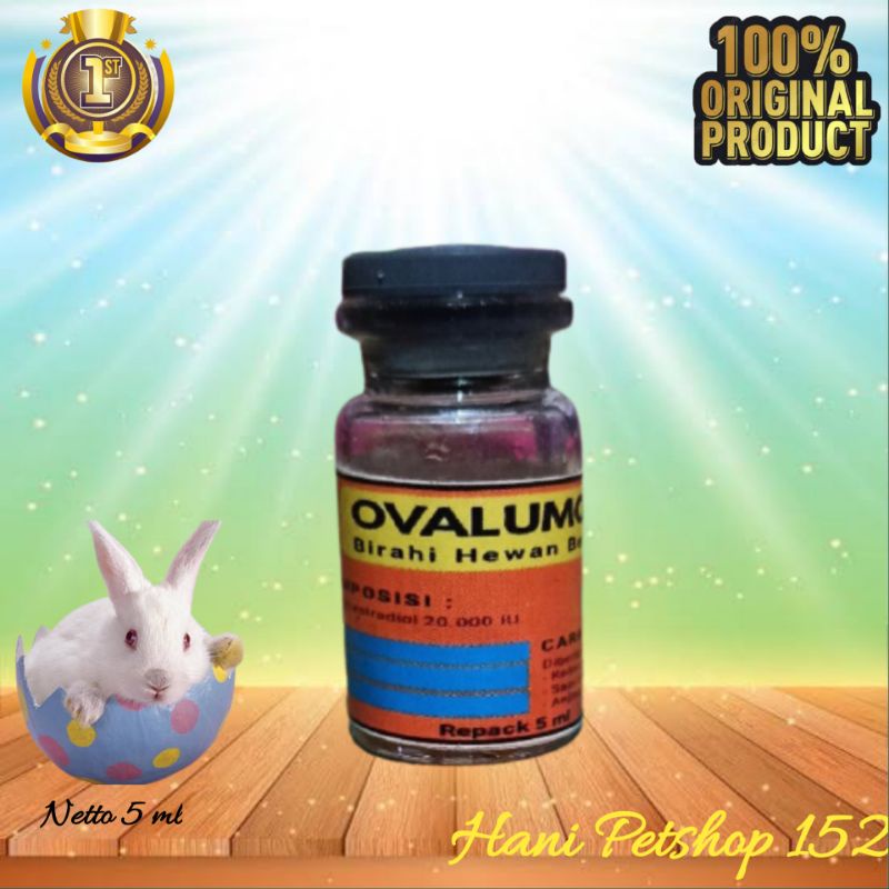 Jual OVALUM / OVALUMON 5ml - 20ml Exp 2025 (OBAT INJEKSI UNTUK ...