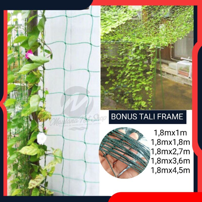 Jual Jaring Tanaman Rambat/Jaring Tanaman Buah/Jaring Tanaman Anggur/Sayuran/TALI FRAME ...
