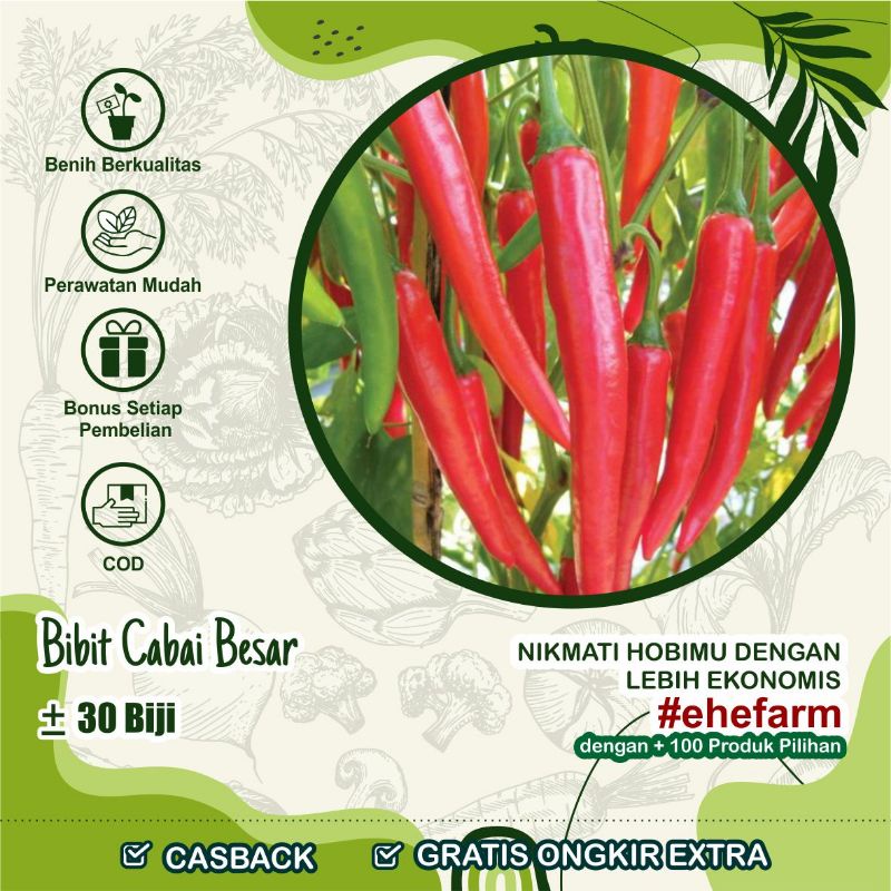 Jual Benih Cabe Cabai Merah Besar Sayuran Tahan Virus Cabai - Bibit ...