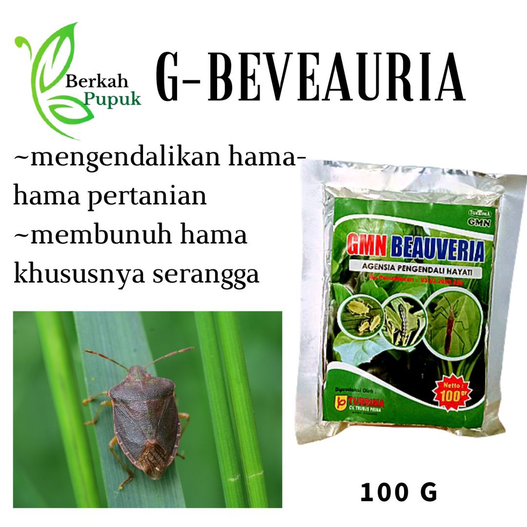 Jual Obat Insektisida Pengendali Hama Tanaman, Obat Hama Wereng Padi ...