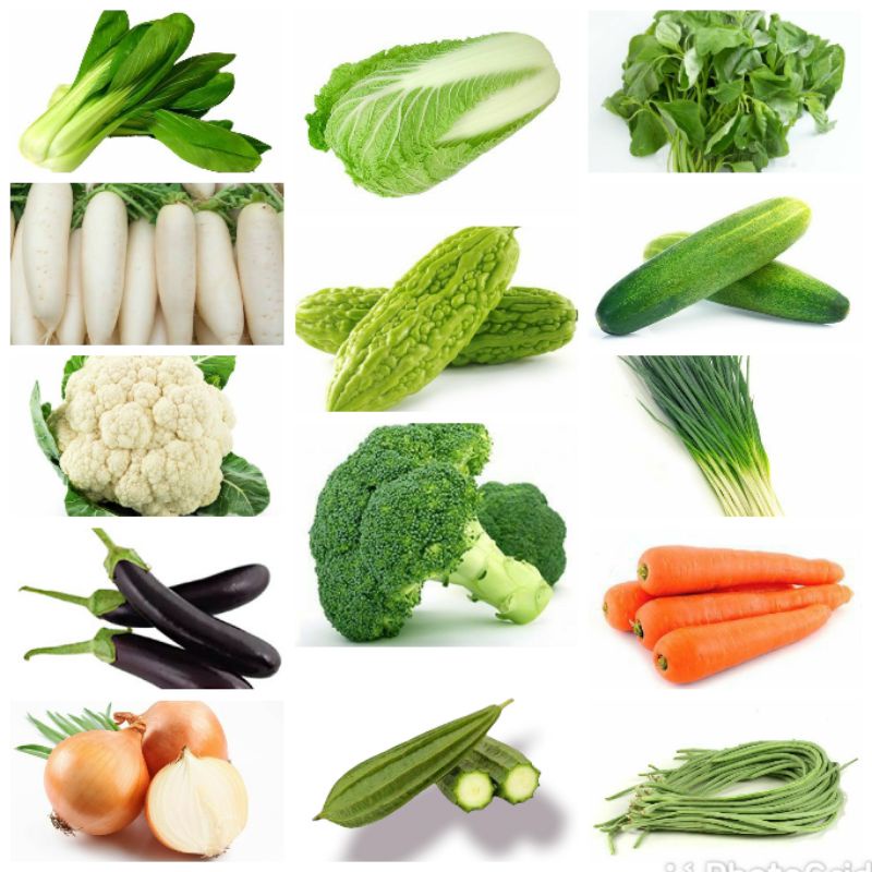 Jual Sayur Segar 500gr : Terong / Timun / Wortel / Pakcoy / Kol / Pecay ...