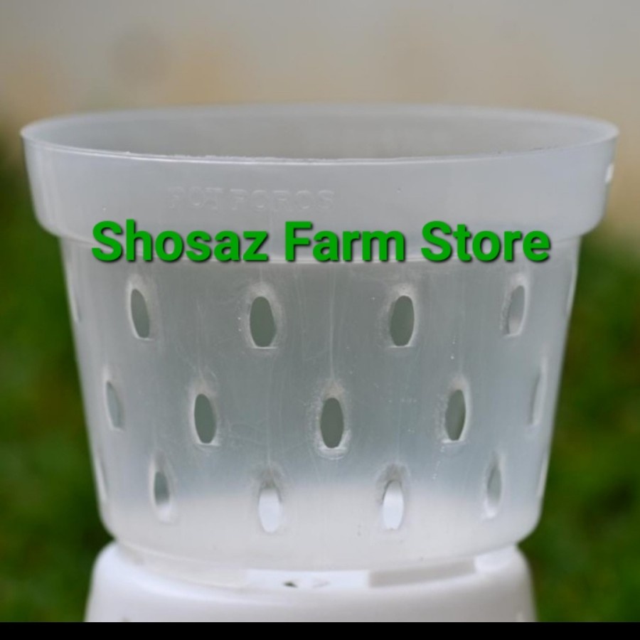 Jual Pot Anggrek / aglonema / propagarasi / Airy pot / Pot NKT Poros 20 ...