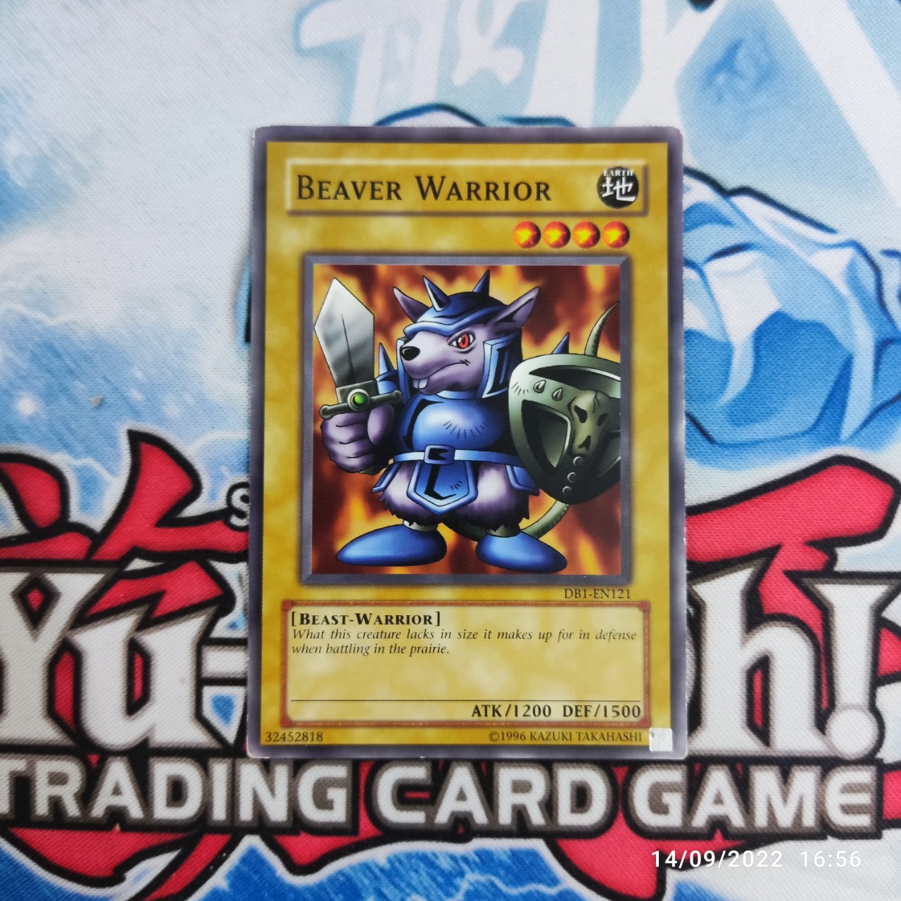Jual yugioh beaver warrior DB1 common original | Shopee Indonesia