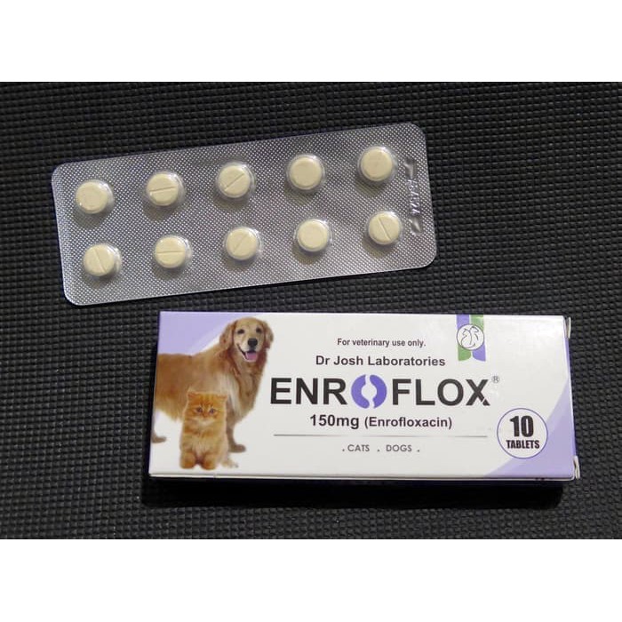 Jual Obat Flu pilek Flue Anjing Kucing Enroflox enrofloxacin 150mg | Shopee Indonesia
