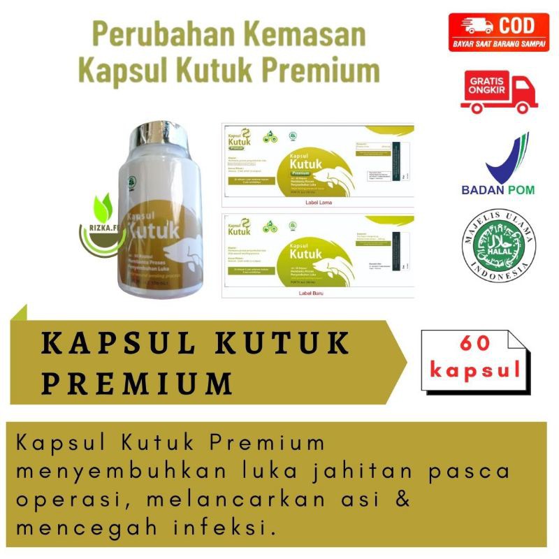 Jual KAPSUL KUTUK PREMIUM Asli Original Pil Ikan Gabus Albumin Obat ...