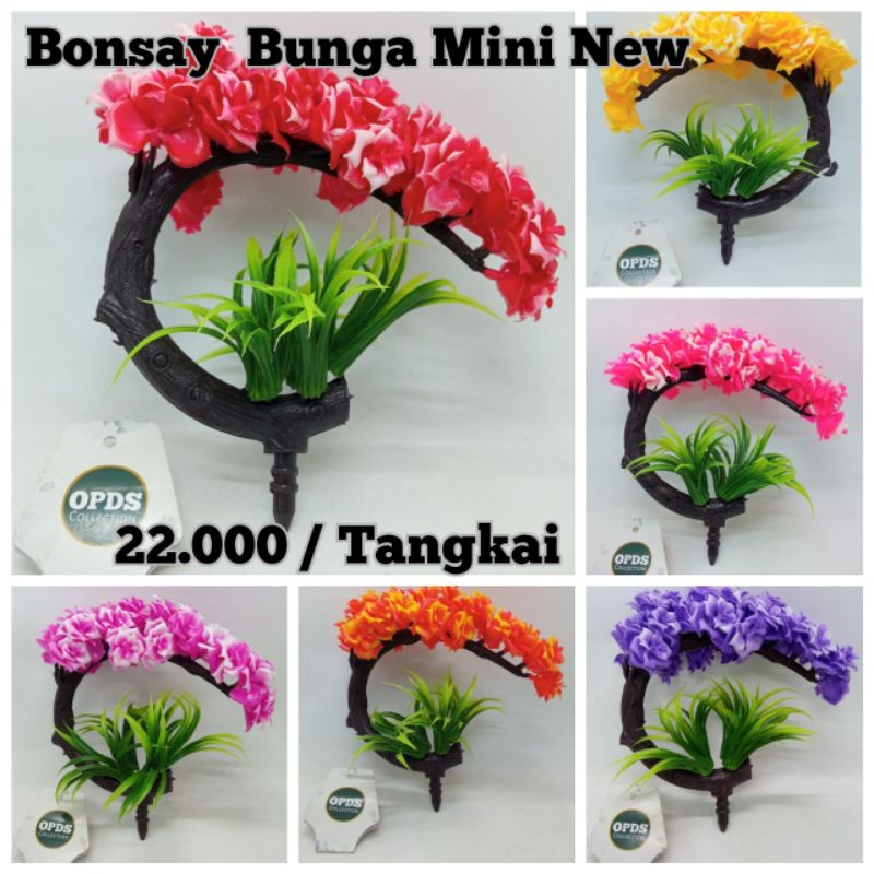 Jual bonsai bunga mini | Shopee Indonesia