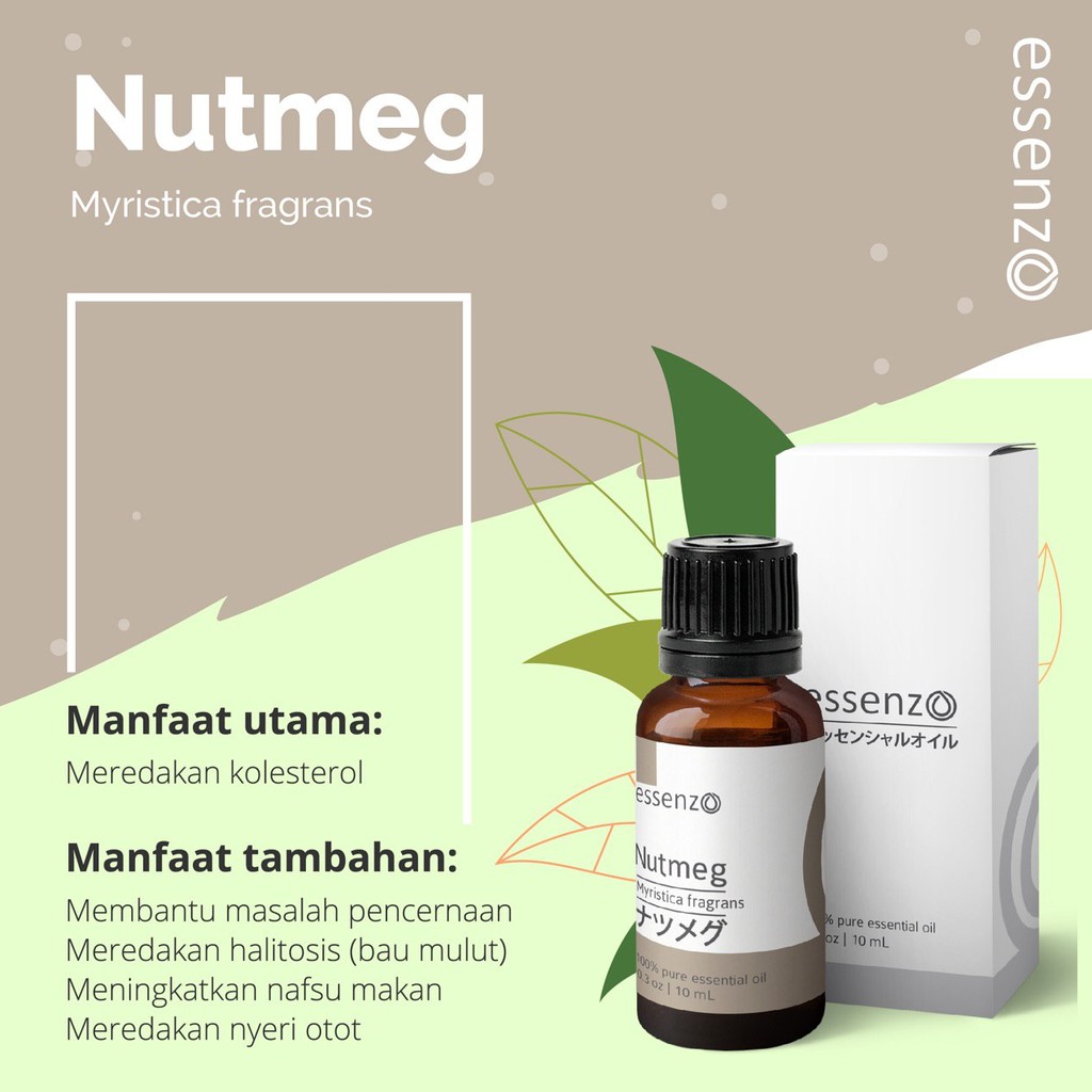 Jual Essenzo Nutmeg (Kolestrol Tinggi) | Shopee Indonesia