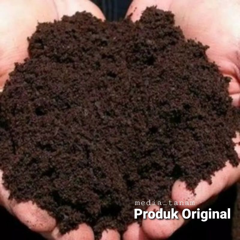 Jual Tanah Humus Asli-Tanah Gembur-Tanah Media Tanam 500gr | Shopee ...