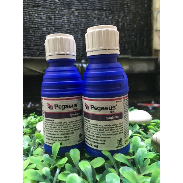 Jual Pegasus 500SC Insektisida 80 ml | Shopee Indonesia