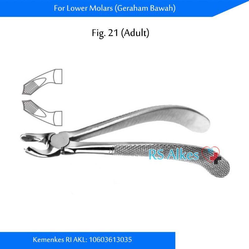 Jual Tang Cabut Gigi Dewasa Tooth Extracting Adult | Shopee Indonesia