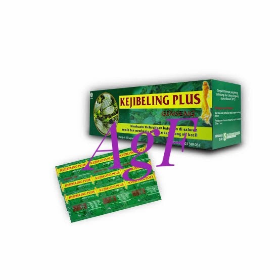 Jual Keji Beling atau Kejibeling Ginseng Plus Caps isi 100 (Dunia ...