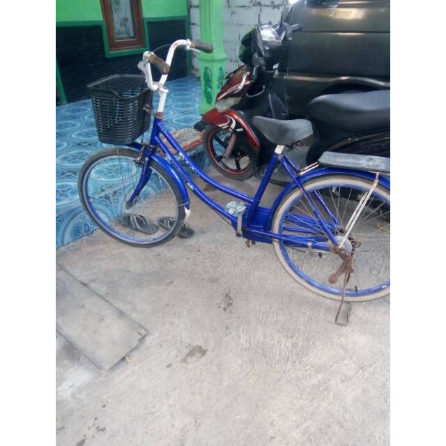 Jual Sepeda mini phoenix 300rb normal langsung pake | Shopee Indonesia