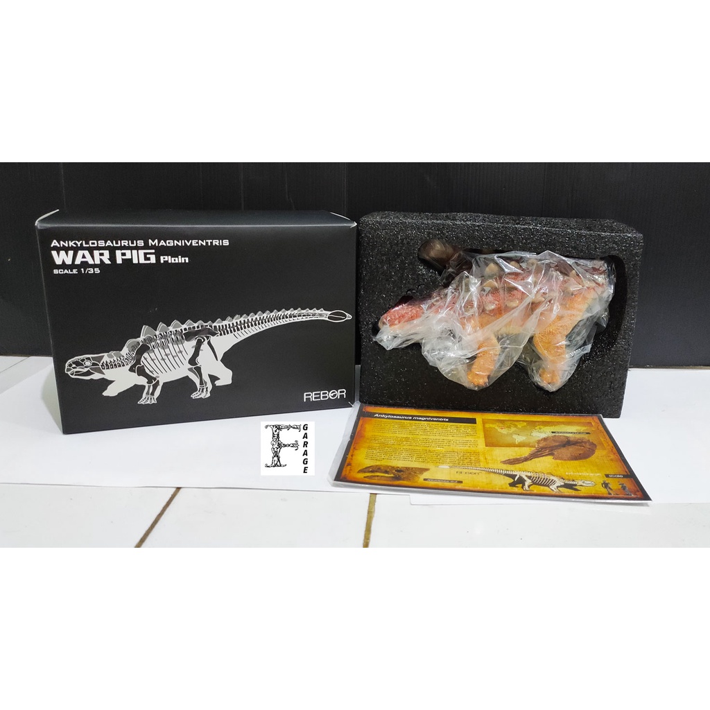 Jual Rebor Ankylosaurus Magniventris War Pig Plain Skala 1/35 Dinosaur ...