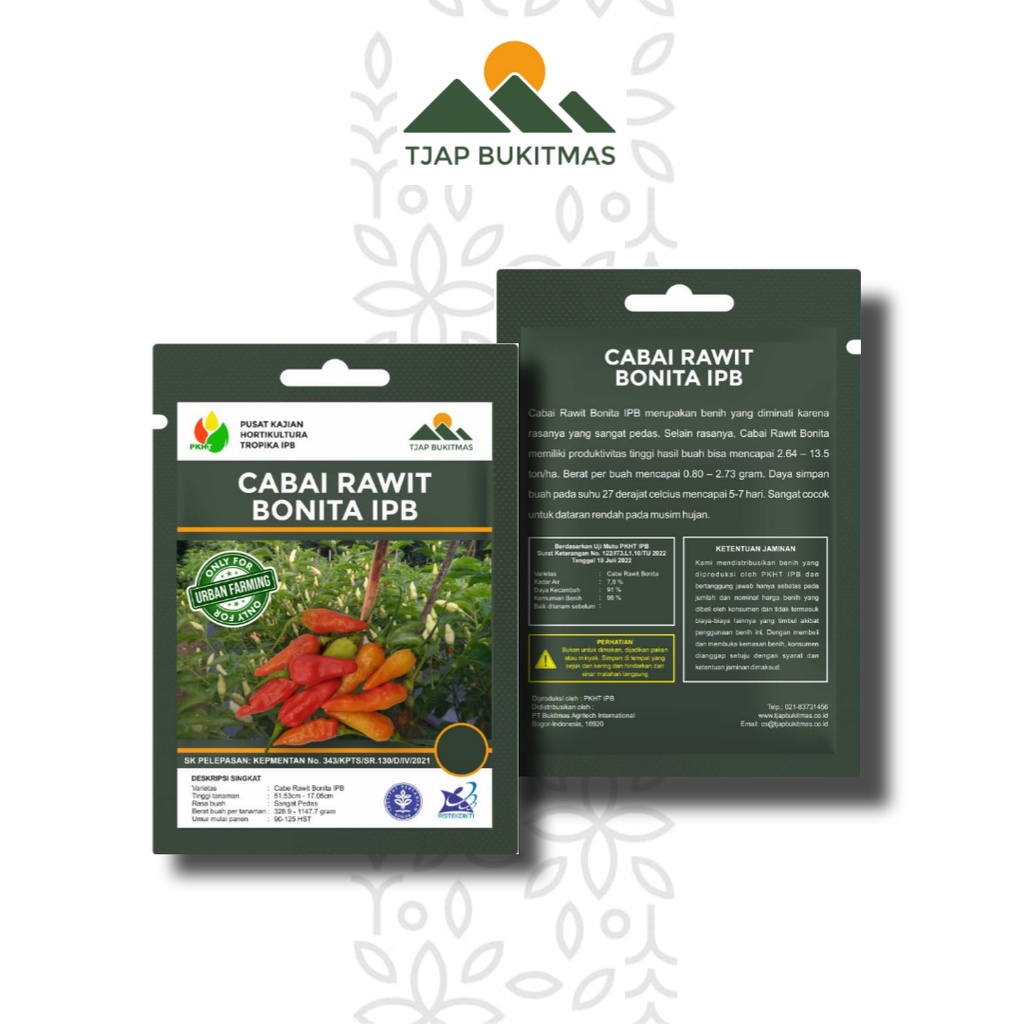 Jual Benih Asli Cabai Cabe Rawit Bonita IPB (SUMBER BENIH PKHT IPB ...
