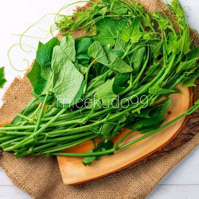 Jual DAUN PUCUK LABU ORGANIK FRESH / PUCUK WALUH SAYUR SEGAR BALI ...