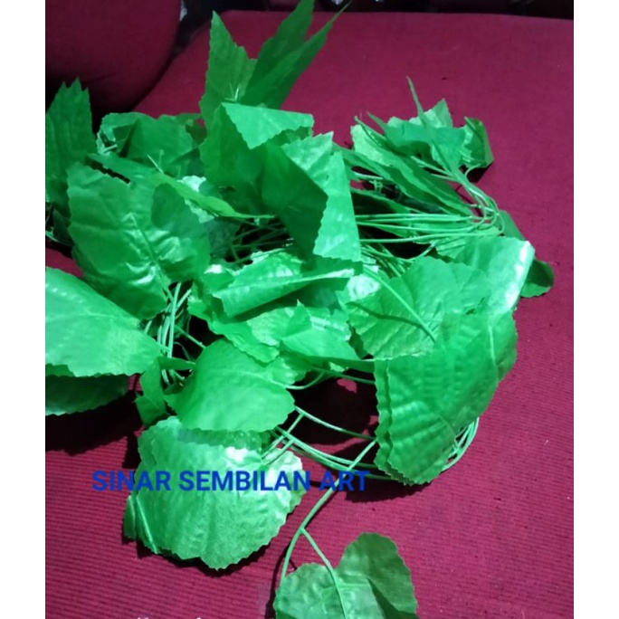 Jual Daun rambat anggur panjang 2M (hijau muda) | Shopee Indonesia