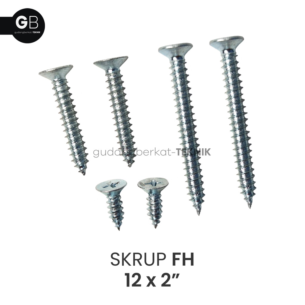 Jual SKRUP FH 12 x 2" (5 CM) TAPPING SCREW / SEKRUP KEPALA RATA ...
