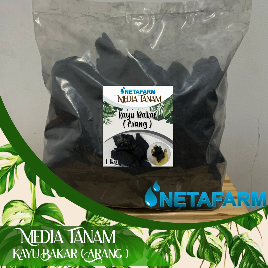 Jual Media Tanam Arang / Kayu Bakar untuk Anggrek - 1kg | Shopee Indonesia