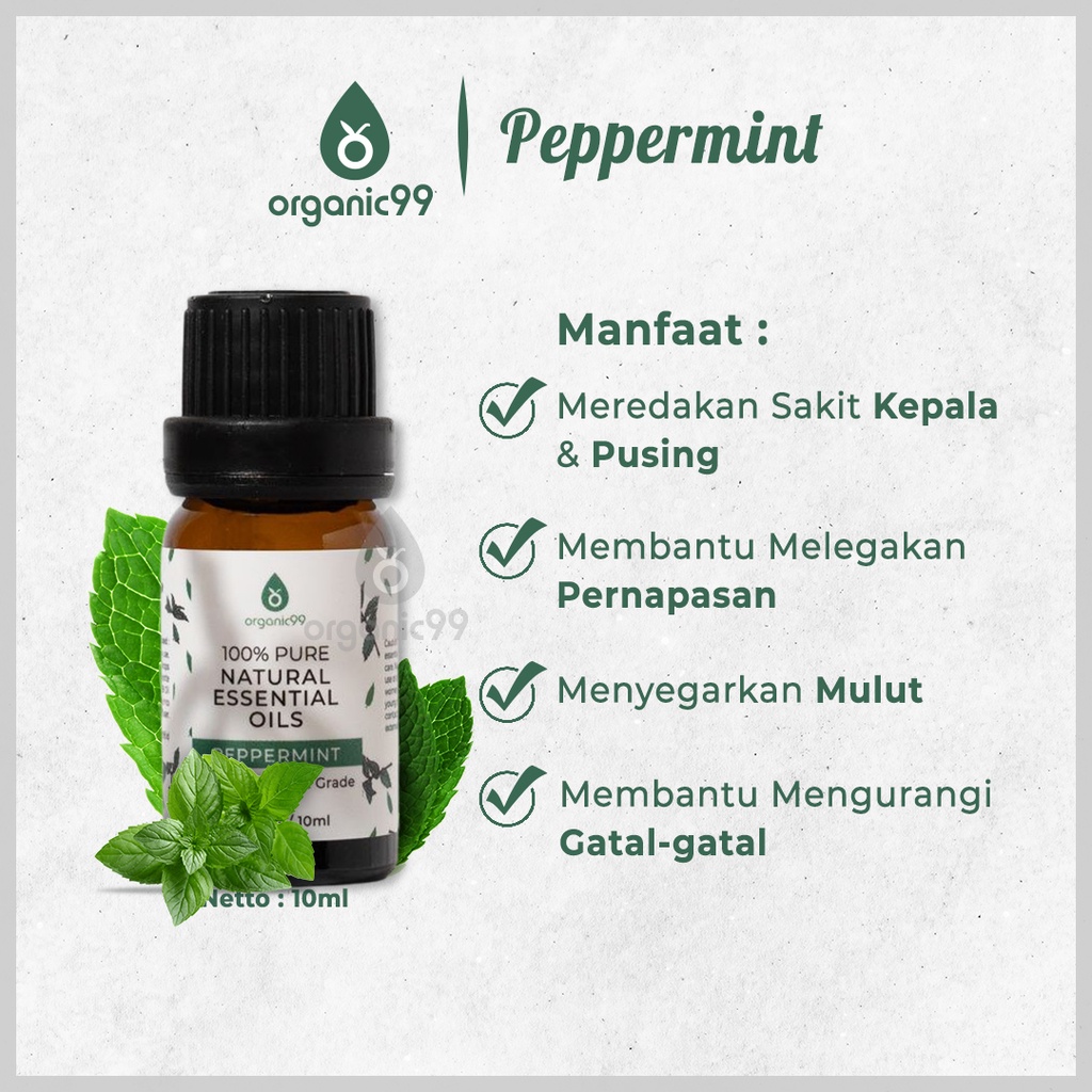 Jual Peppermint Essential Oil Organic99 Minyak Atsiri Aromaterapi ...