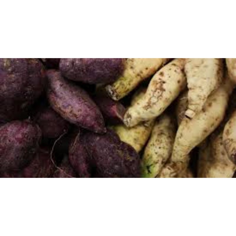 Jual ubi jalar kuning 1 kg | Shopee Indonesia