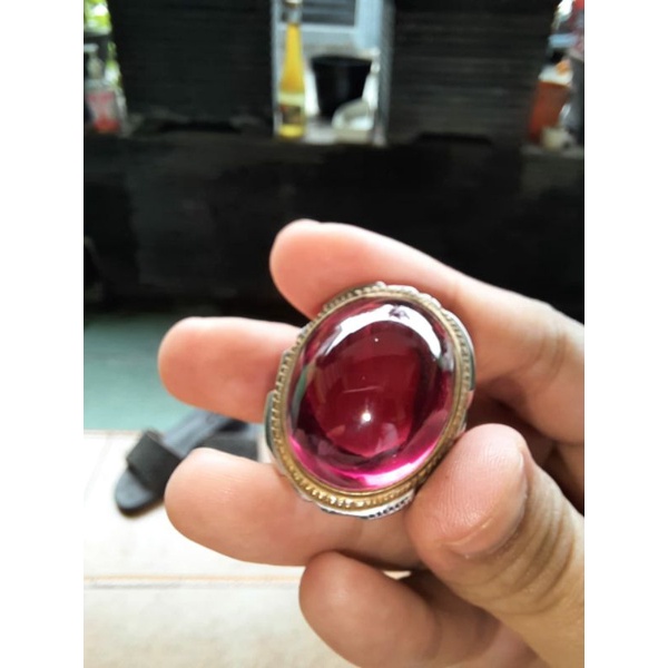 Jual Merah Siam Bangkok mosh 9 | Shopee Indonesia