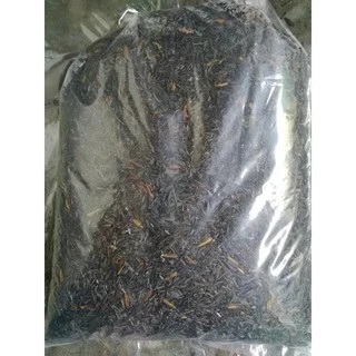 Produk Jirifarm Hidroponik | Shopee Indonesia