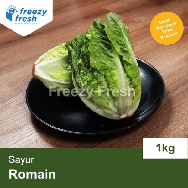 Jual Selada Romain (1 Kilo) | Shopee Indonesia