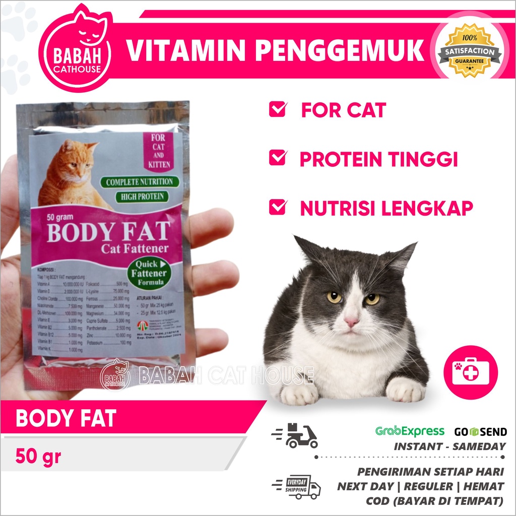 Jual BODY FAT 50gr Cat Fattener Vitamin Penggemuk Kucing Kitten Obat ...