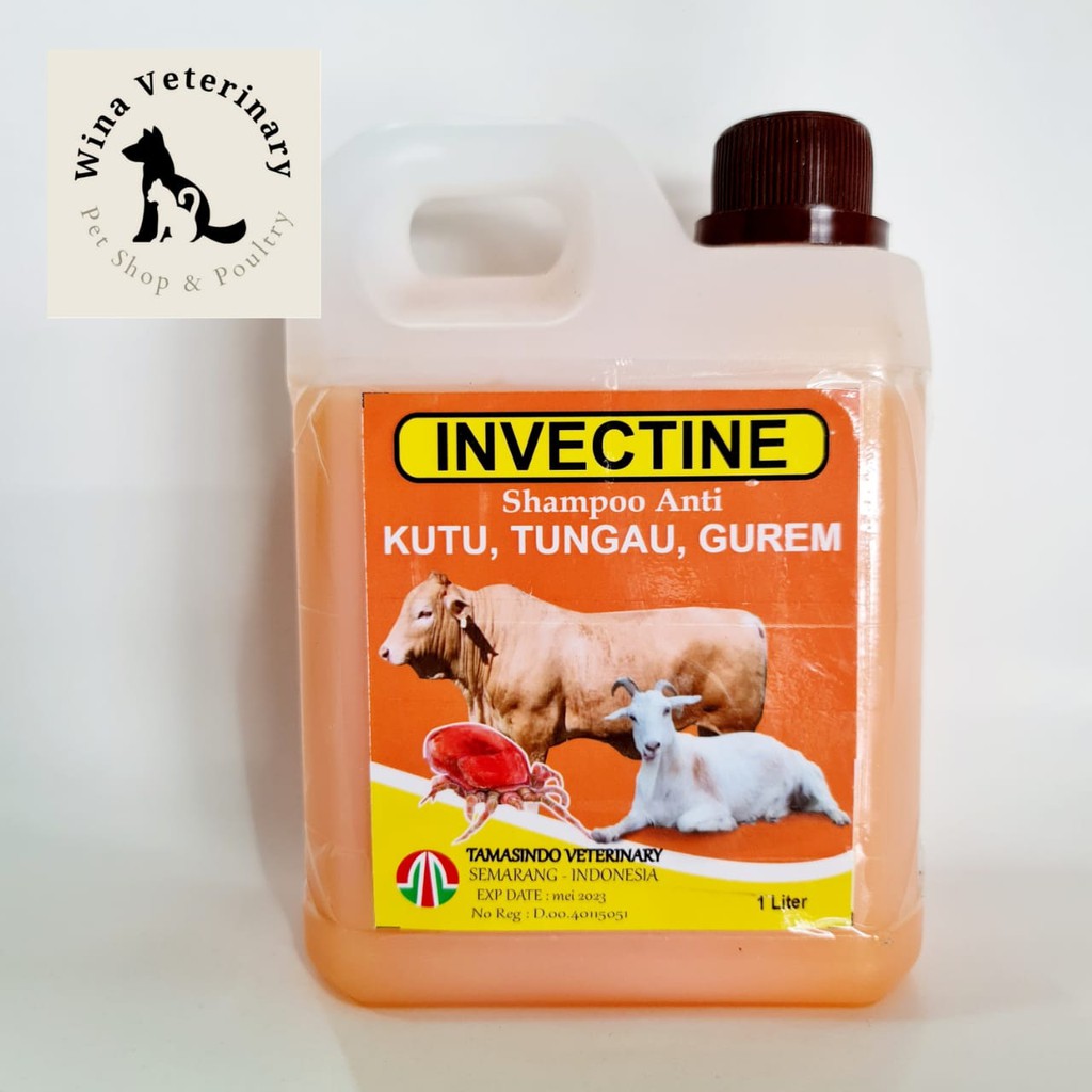 Jual Invectine 1 liter shampoo sapi kambing anti kutu gurem ORI ...
