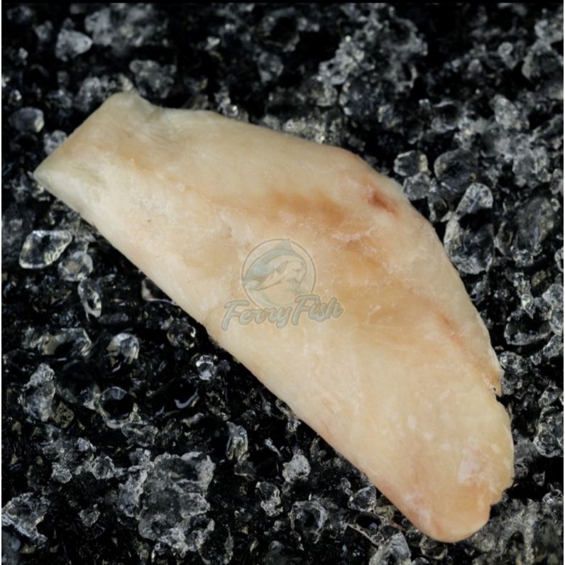 Jual Ikan Kerapu Fillet / Kerapu Skinless / Kerapu Fillet 500gr ...