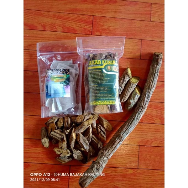 Jual AKAR KUNING asli kalimantan tengah dan teh akar kuning | Shopee ...