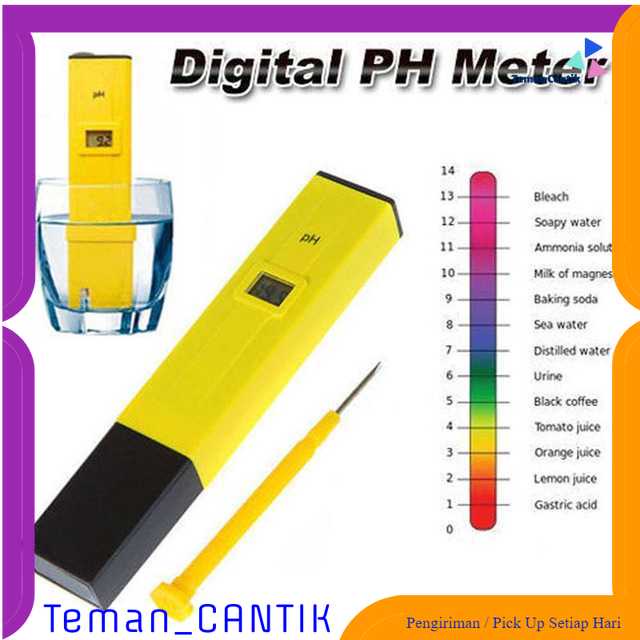 Jual TC-DH Alat Ukur Uji PH Meter Tester Pen Air Minum/Akuarium - PH ...