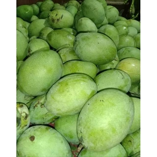 Jual Mangga 1 Kg Terlengkap & Harga Terbaru Maret 2026 | Shopee Indonesia