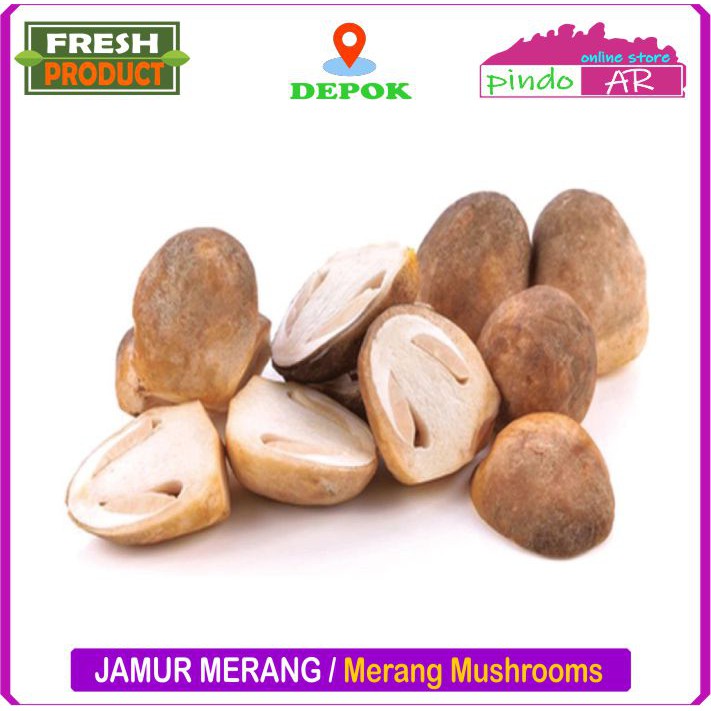 Jual JAMUR MERANG SEGAR / STRAW MUSHROOM FRESH | Shopee Indonesia
