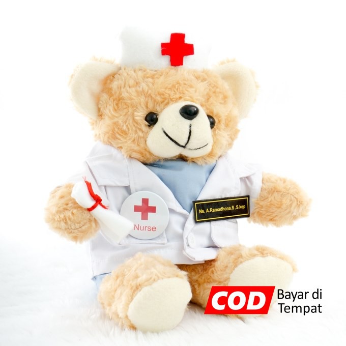 Jual Boneka Profesi Perawat Nurse Teddy Bear Kado Wisuda | Shopee Indonesia